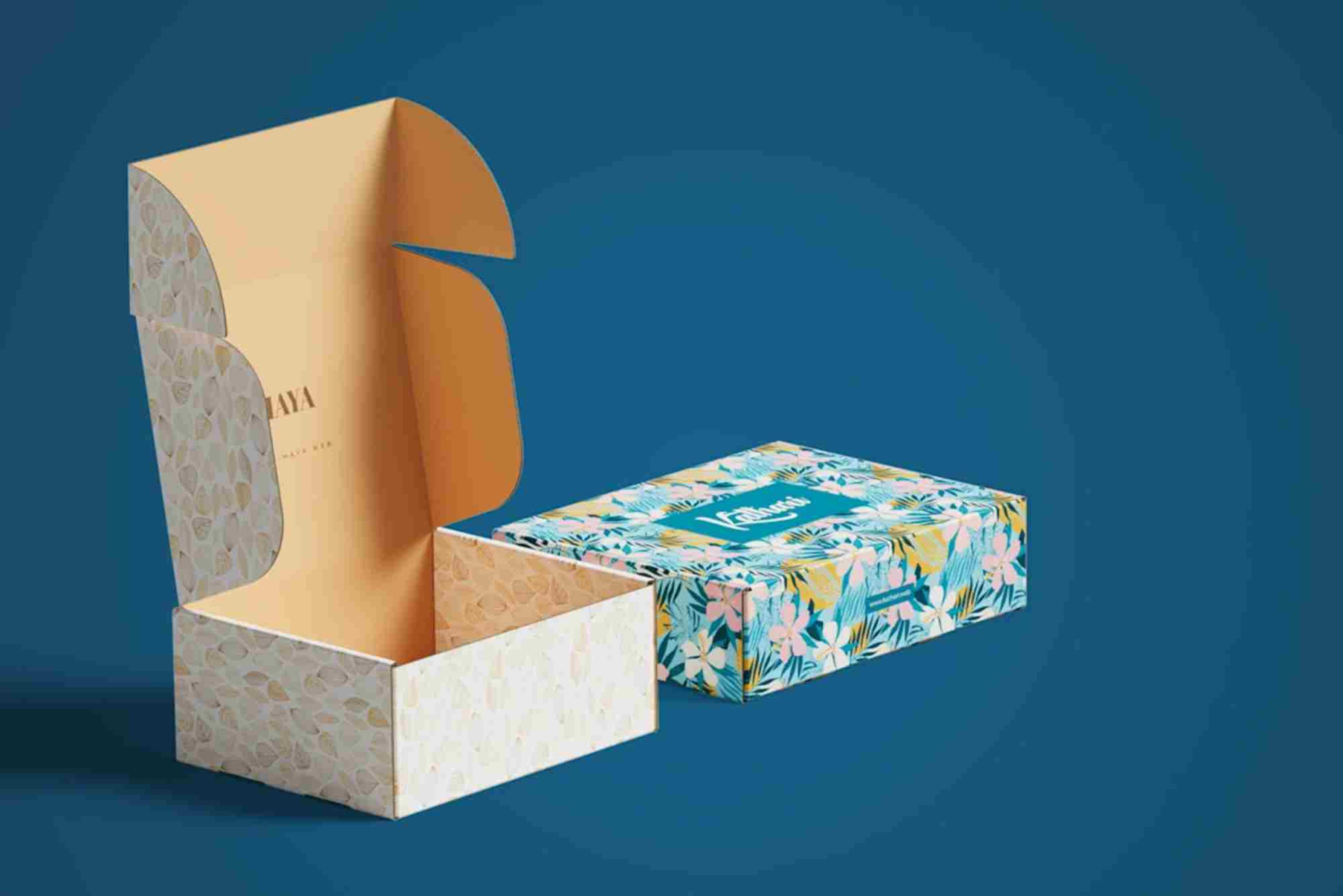 Creative Cardboard Box Design Ideas